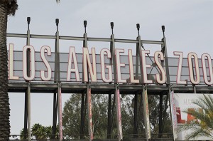 My Tour Of The Los Angeles Zoo - #DisneynatureBears #MeetTheCubs
